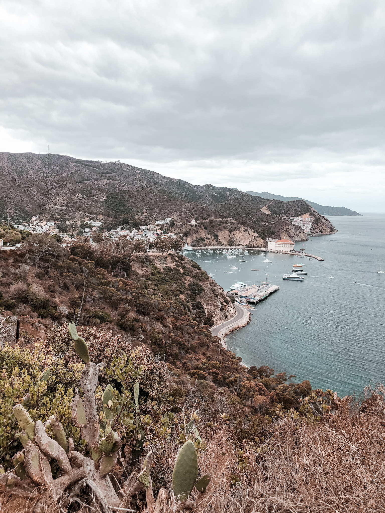 The Best Things To Do On A Catalina Day Trip - Grace's Edition