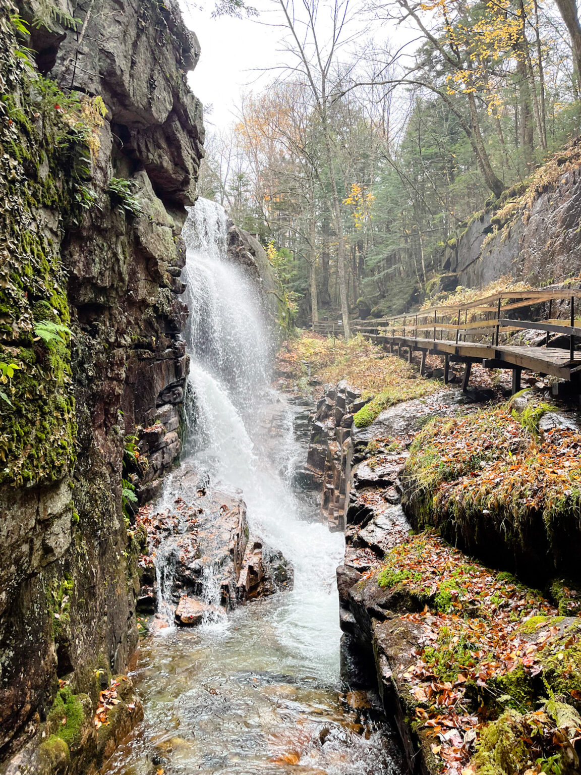 The Ultimate 5 Day New England Fall Road Trip - Grace's Edition