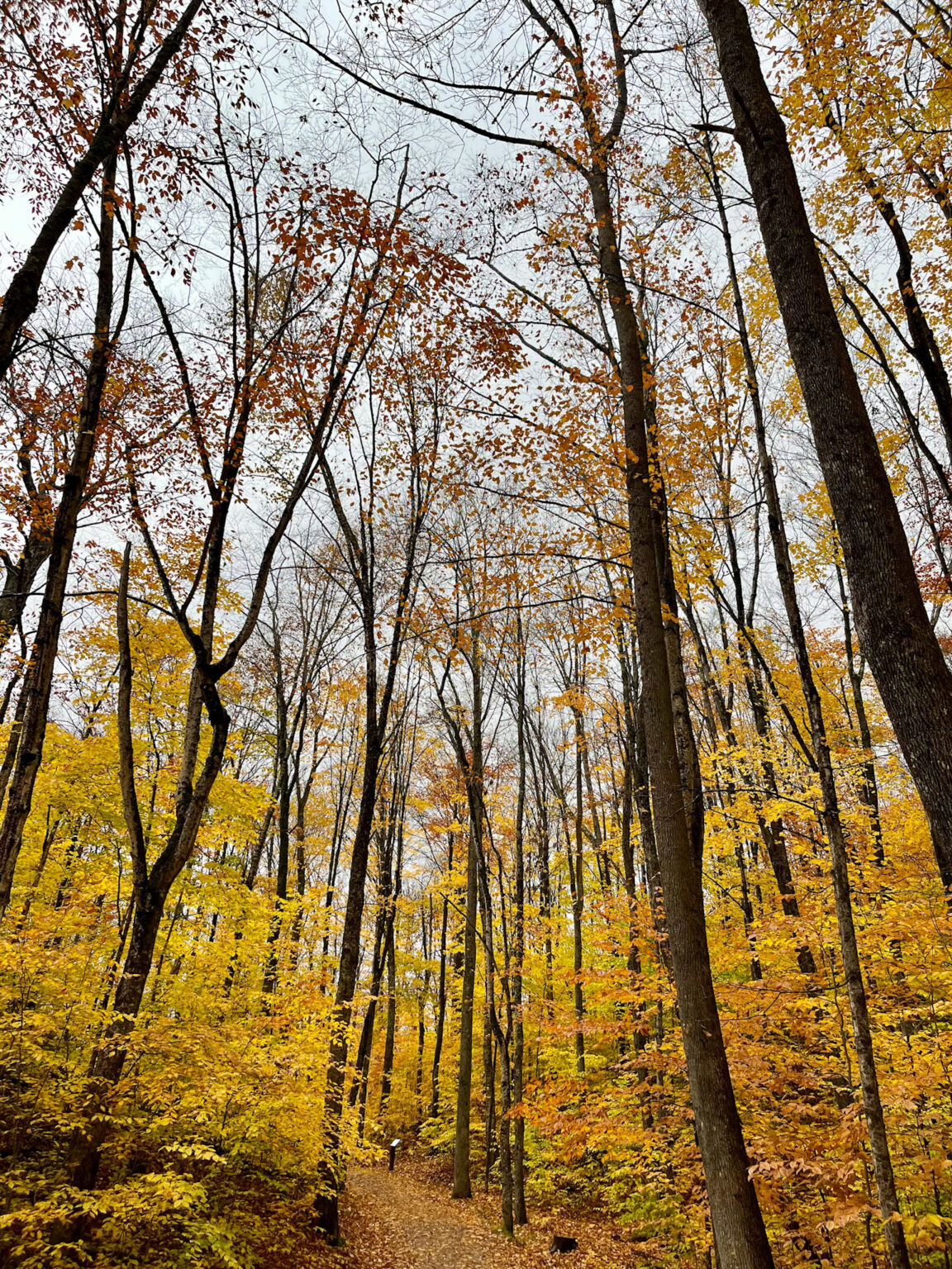 The Ultimate 5 Day New England Fall Road Trip - Grace's Edition